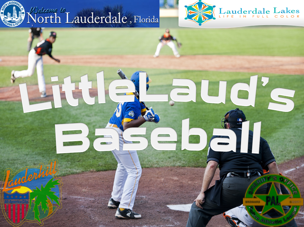 LittleLaud's Double A Baseball 2018 Schedule DO IT NOW Pros-DO IT NOW Referees